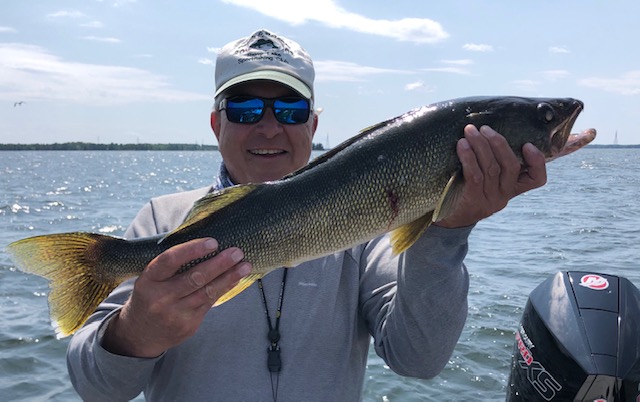 Payara Featherweight & EXT Series